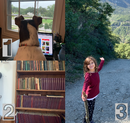 Dr. Lucía Cárdenas Curiel | Chicano/Latino Studies | Michigan State ...